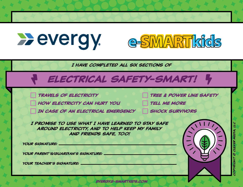 66410 Electrical Safety-SMART! – Evergy School